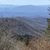 Andrews Bald Trail, North Carolina - 2,406 Reviews, Map | AllTrails