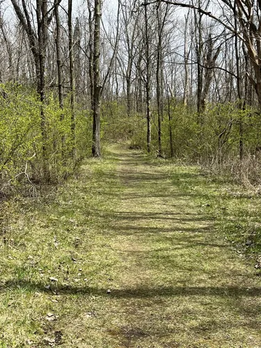 Best Bird Watching Trails in Summit Lake State Park | AllTrails