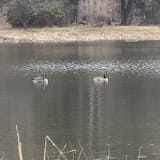 Cornwallis River Loop, Nova Scotia, Canada - 20 Reviews, Map | AllTrails