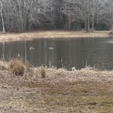 Cornwallis River Loop, Nova Scotia, Canada - 20 Reviews, Map | AllTrails