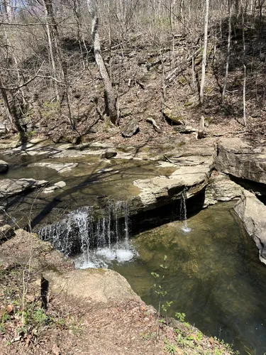 Best Hikes and Trails in Nine Penny Branch Nature Preserve | AllTrails