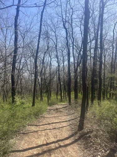 Best Hikes and Trails in Cheney State Park | AllTrails