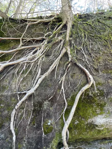 Best Hikes and Trails in Panama Rocks | AllTrails