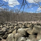 Ringing Rocks Trail, Pennsylvania - 350 Reviews, Map | AllTrails
