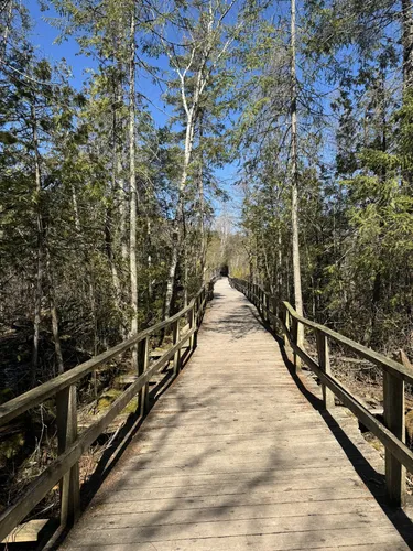 Best Hikes and Trails in Ken Reid Conservation Area | AllTrails