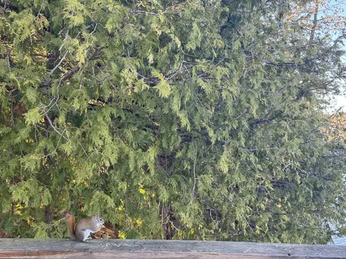 Best Hikes and Trails in Ken Reid Conservation Area | AllTrails