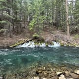 West Metolius River Trail, Oregon - 745 Reviews, Map | AllTrails