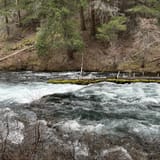 West Metolius River Trail, Oregon - 745 Reviews, Map | AllTrails