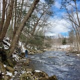 Old Mill Trail, Massachusetts - 314 Reviews, Map | AllTrails