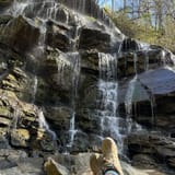 Yellow Branch Falls Trail, South Carolina - 2,642 Reviews, Map | AllTrails
