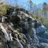 Yellow Branch Falls Trail, South Carolina - 2,642 Reviews, Map | AllTrails