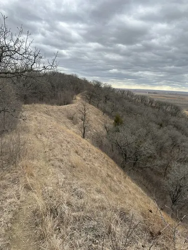 Best Wild Flowers Trails in Loess Hills State Forest - Little Sioux ...