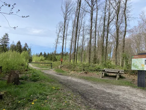 Best Camping Trails in Vaals | AllTrails