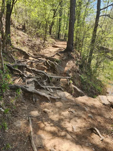 Best River Trails in Olde Rope Mill Park | AllTrails