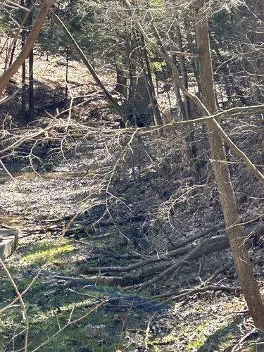 Best Hikes and Trails in Clear Springs Nature Preserve | AllTrails