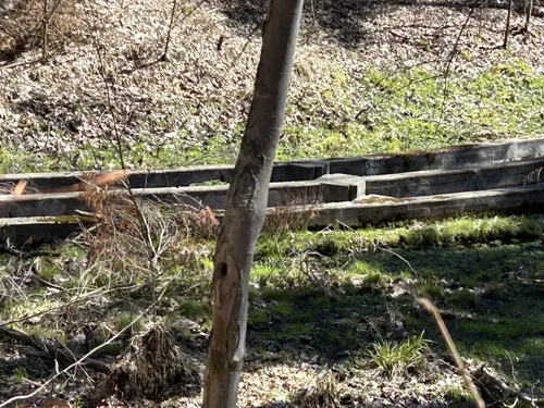 Best Hikes and Trails in Clear Springs Nature Preserve | AllTrails