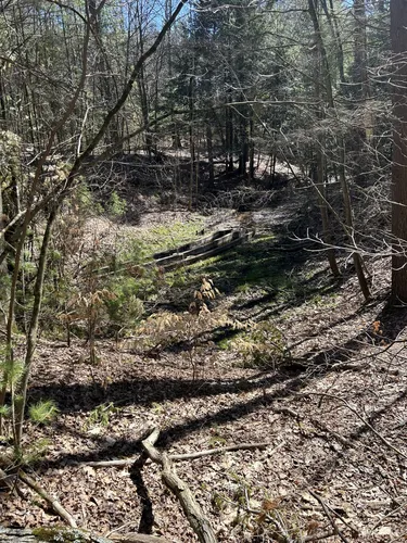 Best Hikes and Trails in Clear Springs Nature Preserve | AllTrails