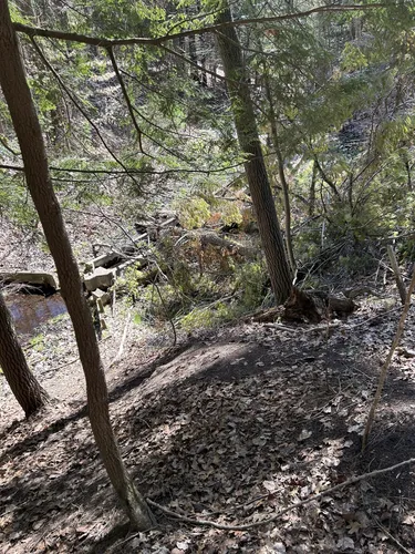 Best Hikes and Trails in Clear Springs Nature Preserve | AllTrails