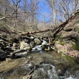 Kelly's Run Loop Trail, Pennsylvania - 3,318 Reviews, Map | AllTrails