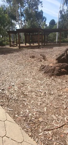 Best Forest Trails in Arcadia | AllTrails