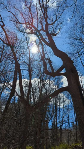 Best Hikes and Trails in Arthur W Butler Memorial Sanctuary | AllTrails