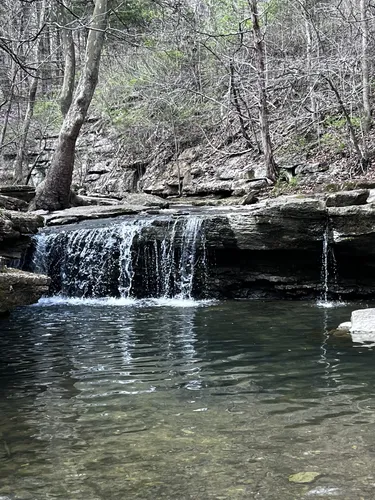 Best Hikes and Trails in Nine Penny Branch Nature Preserve | AllTrails