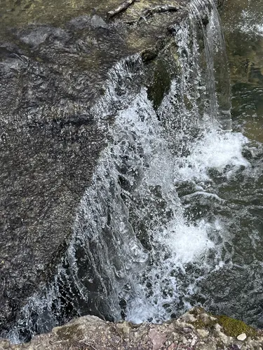 Best Hikes and Trails in Nine Penny Branch Nature Preserve | AllTrails