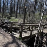 Nine Penny Branch Loop, Indiana - 630 Reviews, Map | AllTrails