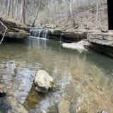 Nine Penny Branch Loop, Indiana - 630 Reviews, Map | AllTrails