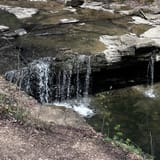 Nine Penny Branch Loop, Indiana - 630 Reviews, Map | AllTrails
