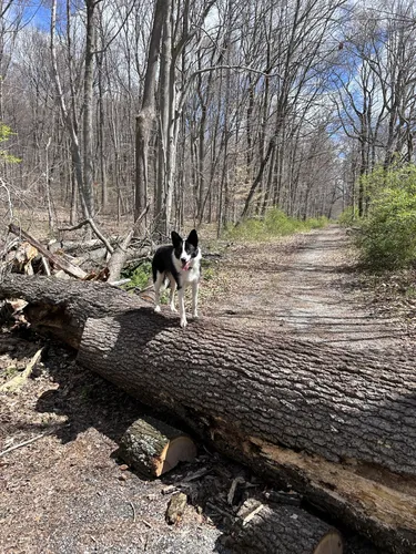 Best Hikes and Trails in Exton Park | AllTrails