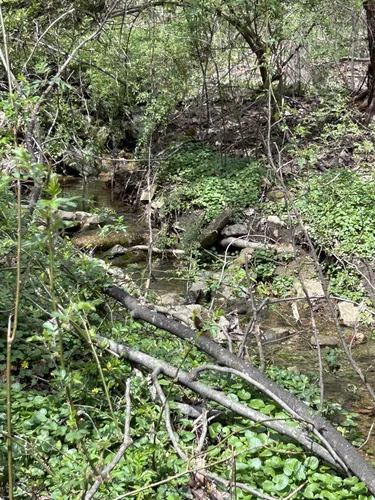 Best Hikes and Trails in Exton Park | AllTrails