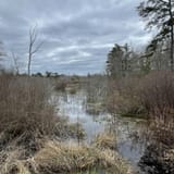 Great Swamp Trail, Rhode Island - 898 Reviews, Map | AllTrails