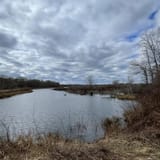 Great Swamp Trail, Rhode Island - 898 Reviews, Map | AllTrails