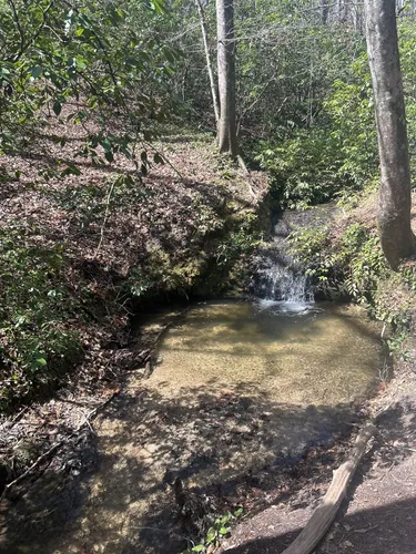 Best Hikes and Trails in Devils Fork State Park | AllTrails