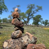 Iron Canyon Trail, California - 403 Reviews, Map | AllTrails