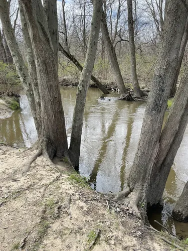 Best Hikes and Trails in Firestone Metro Park | AllTrails