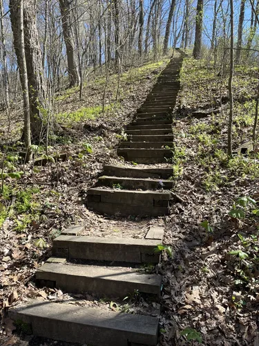 Best Hikes and Trails in Eagle Bluffs Conservation Area | AllTrails