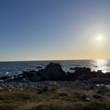 Asilomar State Beach and Coast Trail, California - 846 Reviews, Map ...