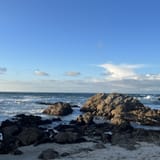Asilomar State Beach and Coast Trail, California - 846 Reviews, Map ...