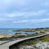 Asilomar State Beach and Coast Trail, California - 846 Reviews, Map ...