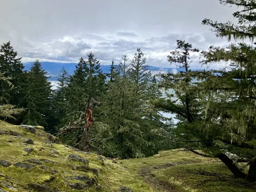 Best Views Trails in Mount Maxwell Provincial Park | AllTrails