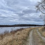 Great Swamp Trail, Rhode Island - 898 Reviews, Map | AllTrails