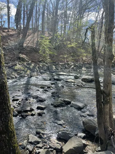 Best Road Biking Trails in Silver Spring | AllTrails