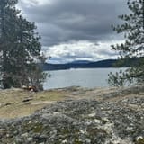 Tubbs Hill, Idaho - 4,033 Reviews, Map | AllTrails