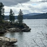 Tubbs Hill, Idaho - 3,968 Reviews, Map | AllTrails