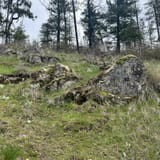 Tubbs Hill, Idaho - 3,968 Reviews, Map | AllTrails