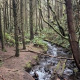 Clatsop Loop Trail from Indian Beach, Oregon - 2,562 Reviews, Map ...