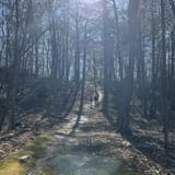 Shaupeneak Ridge Trail, New York - 432 Reviews, Map | AllTrails