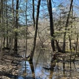 Shaupeneak Ridge Trail, New York - 432 Reviews, Map | AllTrails